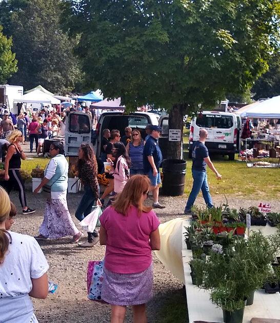 bargain flea market connecticut ftr