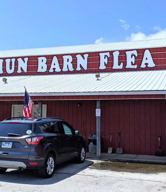 bargain hunting arkansas market ftr