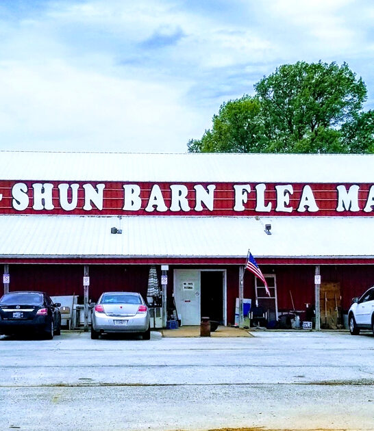 bargain hunting market arkansas ftr