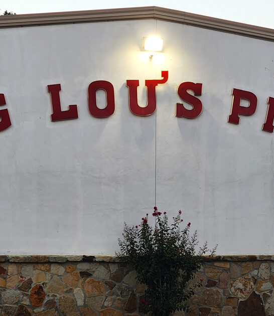 best pizza restaurant texas ftr