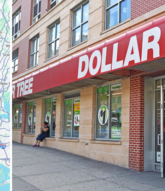 dollar store new york ftr