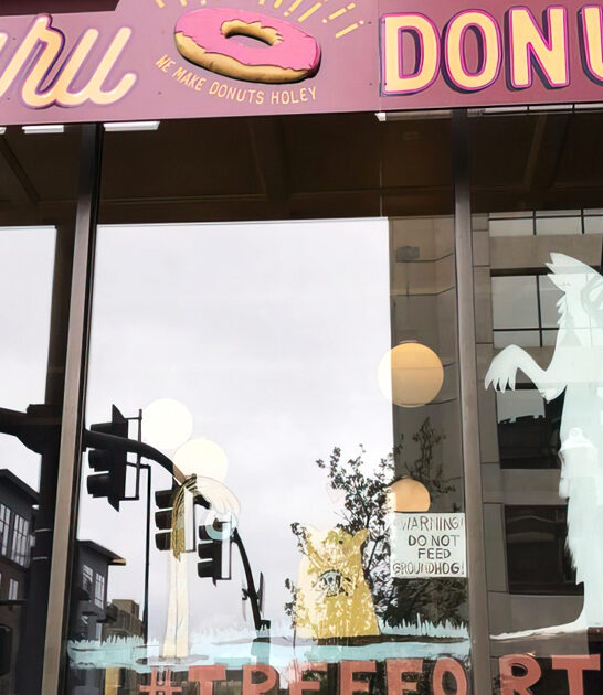 donut shop idaho ftr