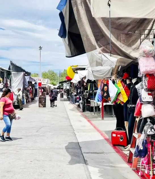 enormous flea market nevada ftr