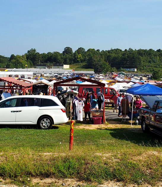 enormous market alabama inexpensive ftr