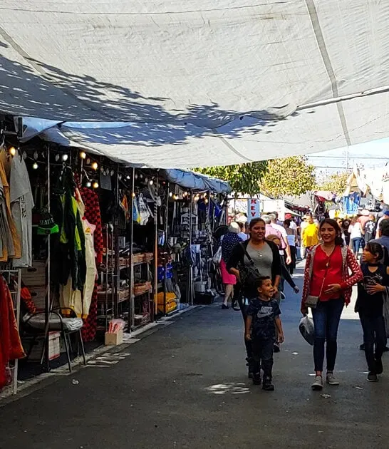 enormous market nevada bargain ftr