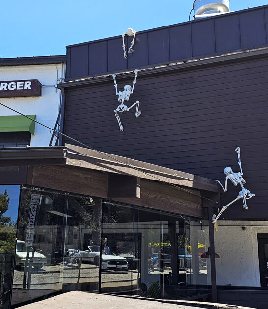 fascinatingly weird restaurant arizona ftr