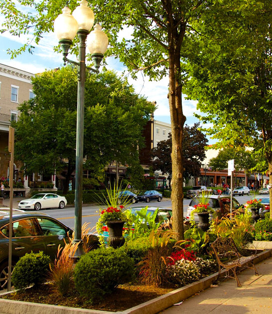 gorgeous town new york ftr