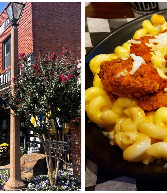 mac cheese homey oklahoma ftr