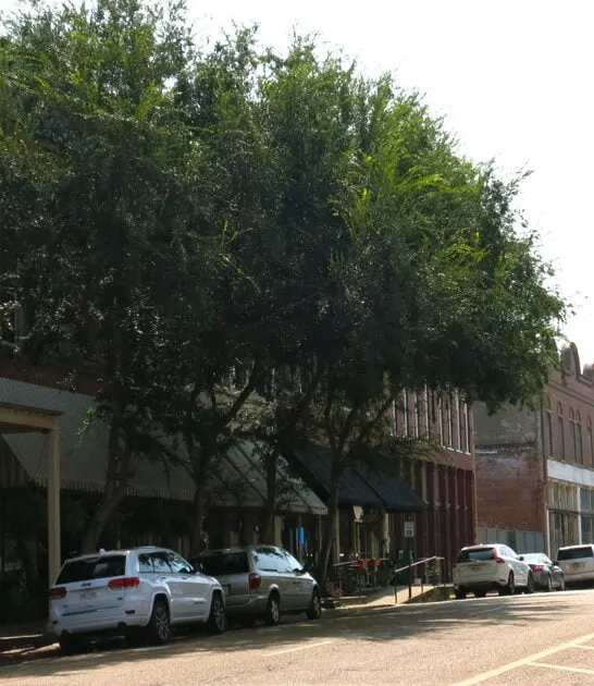 small town mississippi ftr