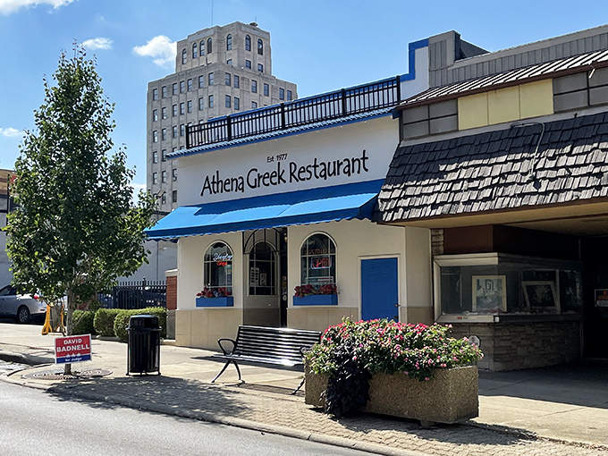 The blue-and-white façade of Athena Greek Restaurant stands like a Mediterranean oasis in downtown Mansfield, promising authentic flavors and hometown hospitality.