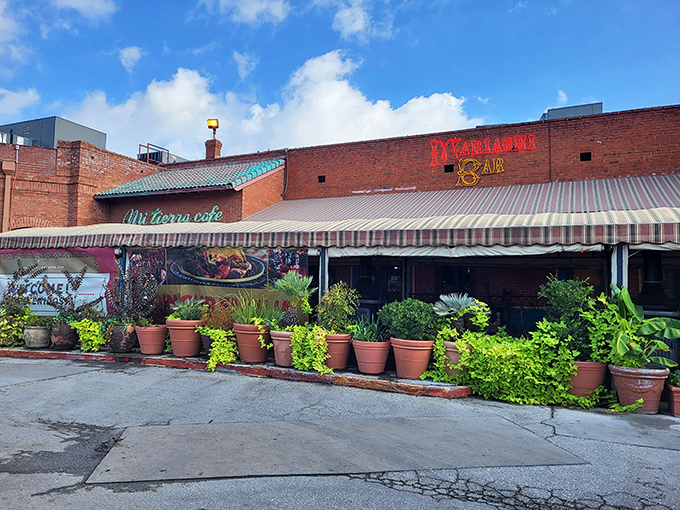 The brick exterior of Mi Tierra welcomes visitors with its colorful signage and potted plants—like a warm Mexican hug in the heart of San Antonio.