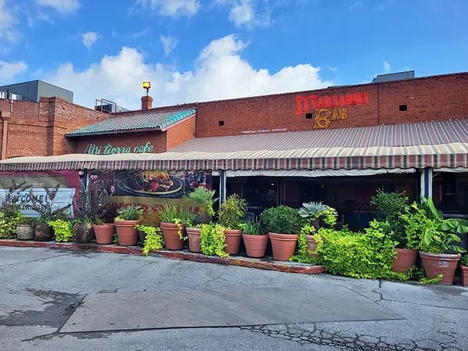 The brick exterior of Mi Tierra welcomes visitors with its colorful signage and potted plants—like a warm Mexican hug in the heart of San Antonio.