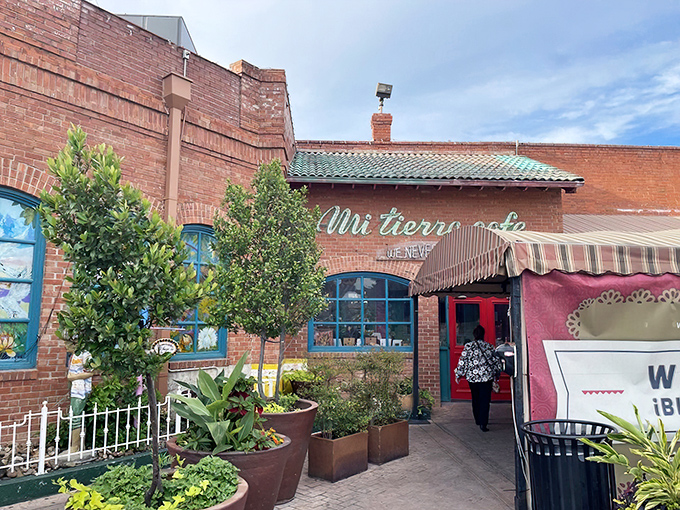 The brick exterior of Mi Tierra welcomes visitors with its colorful signage and potted plants—like a warm Mexican hug in the heart of San Antonio.
