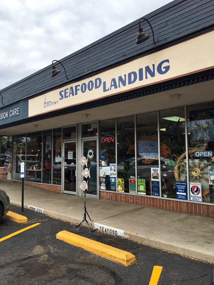 The unassuming storefront belies the oceanic treasures within. Like finding Atlantis next to a dry cleaner in suburban Denver.