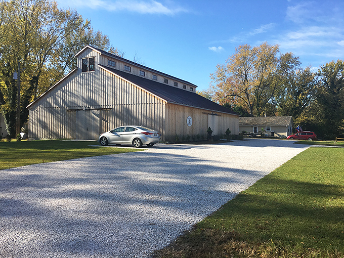 The soaring wooden beams of this converted barn create a cathedral-like space where automotive history comes to life beneath warm, natural light.