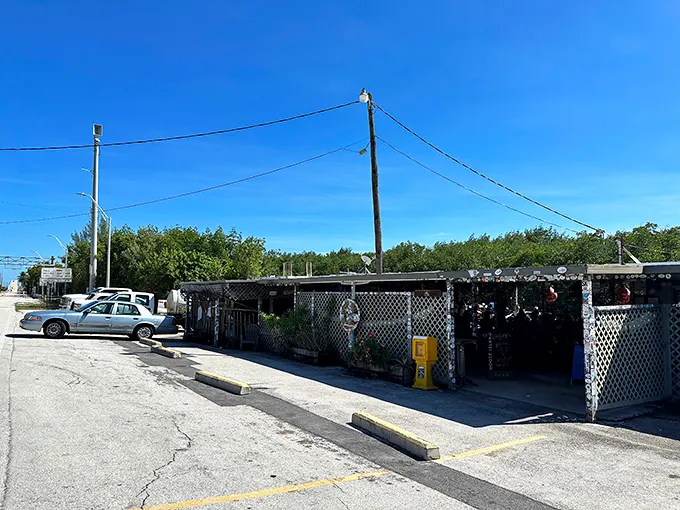 The unassuming exterior of Alabama Jacks might make you question your GPS, but trust me—culinary treasures often hide behind humble facades.
