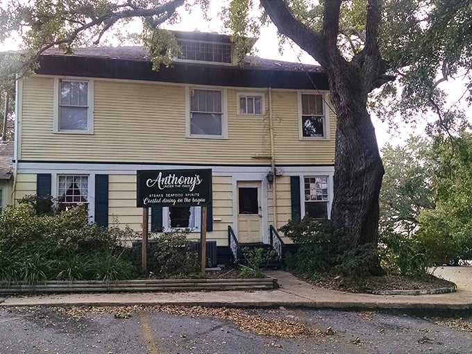Humble on the outside, legendary on the inside – Aunt Jenny's yellow cottage beneath sprawling oaks has been serving Ocean Springs' finest catfish for generations.