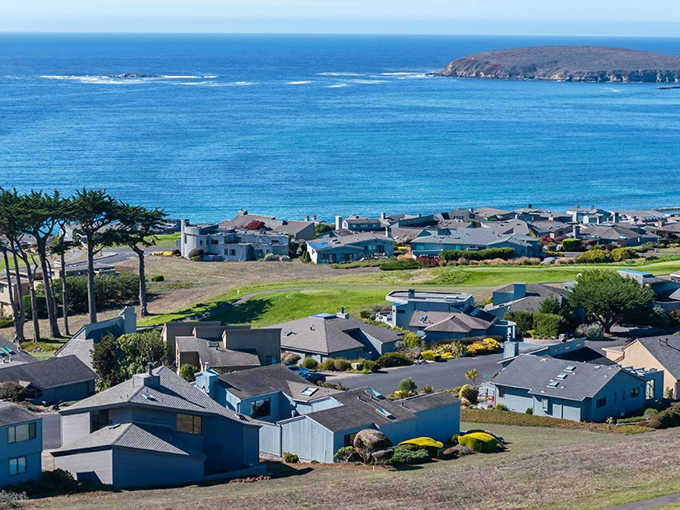 Bodega Bay's panoramic coastline unfolds like nature's IMAX screen—homes perched on bluffs enjoying million-dollar views that no Netflix subscription could ever match.