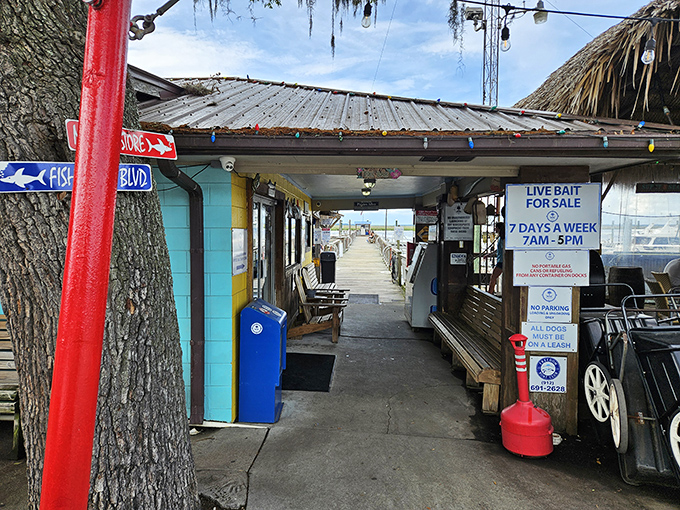 The humble exterior of Fish Tales belies the seafood paradise within. Those string lights aren't just decoration—they're a beacon for hungry souls.