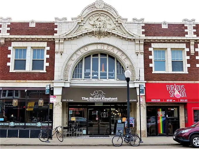 The grand façade of The Brown Elephant commands attention on Clark Street, like a temple dedicated to the gods of secondhand treasures.