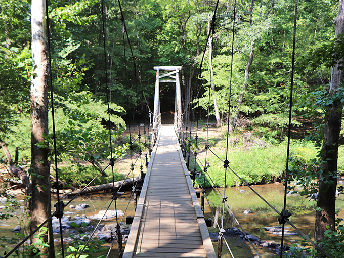 The suspension bridge at Eno River State Park isn't just a crossing—it's an invitation to adventure that sways ever so slightly with each step. 