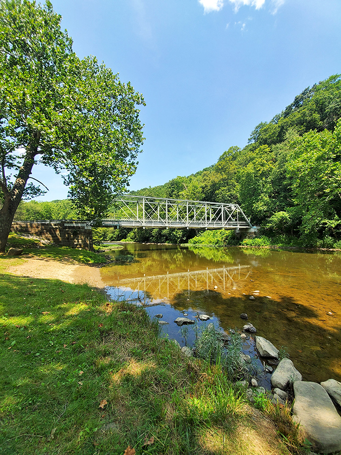The iconic blue bridge spans Little Beaver Creek like nature's perfect postcard. Geese patrol the grassy banks, clearly the self-appointed park rangers of this serene waterway.