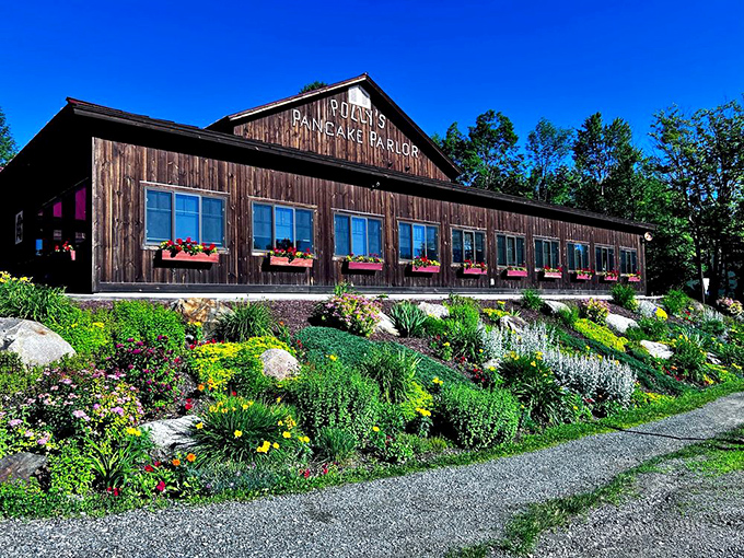 The promised land of pancakes rises from the New Hampshire hillside like a timber cathedral to breakfast perfection. Polly's rustic exterior promises culinary salvation ahead.