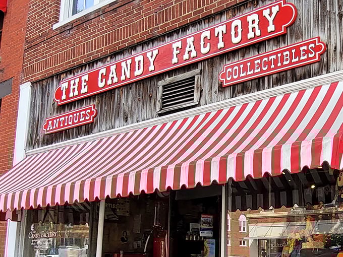 The iconic red-and-white striped awning beckons like a sugary lighthouse, guiding sweet-toothed sailors to this brick-fronted paradise in downtown Lexington.