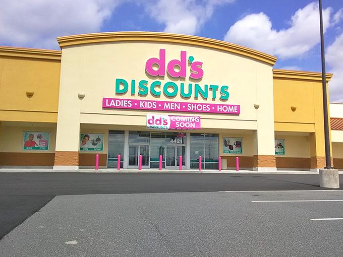 The iconic pink and teal signage of dd's DISCOUNTS stands out like a beacon of bargain hope against the Delaware sky.