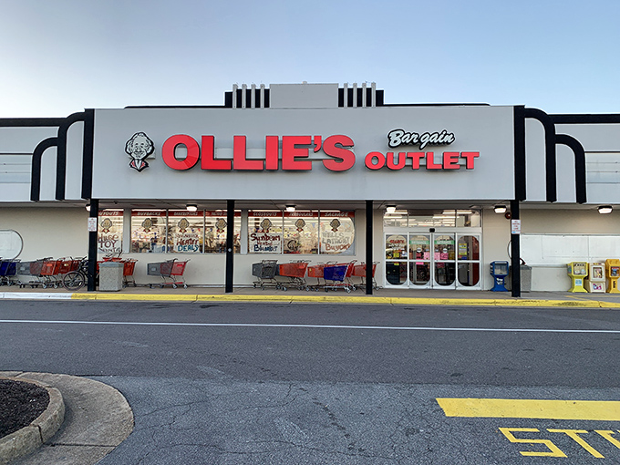 The unmistakable white-and-red façade of Ollie's in Virginia Beach beckons like a siren song to bargain hunters across Hampton Roads.
