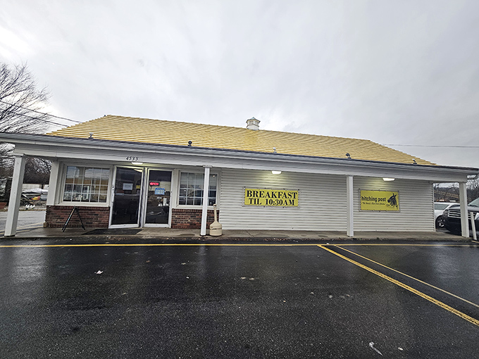 No-frills dining at its finest. This is where memories are made, not Instagram posts—though you'll be tempted to snap a few anyway.