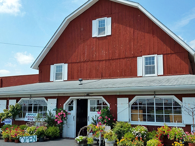 The iconic red barn exterior stands proudly against the blue Jersey sky, surrounded by colorful flowers that practically scream "Come eat something delicious inside!"