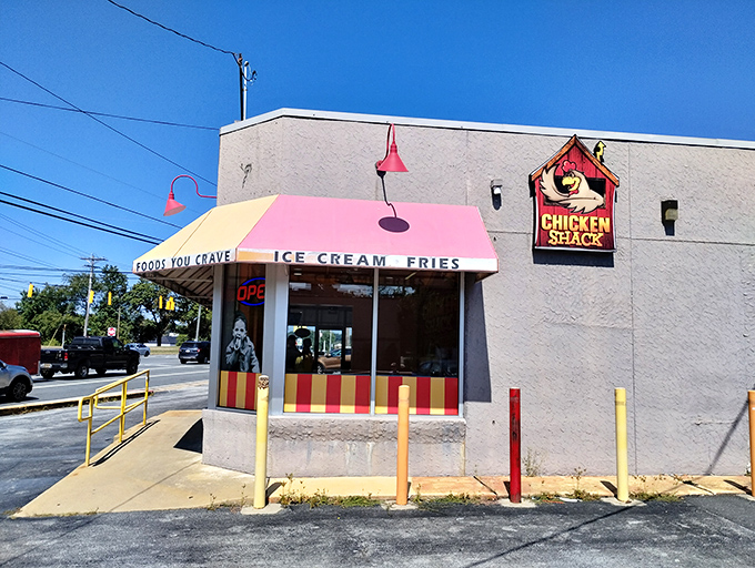 The candy-striped awning of Johnnie's beckons like a culinary lighthouse on Concord Pike, promising comfort food treasures within.