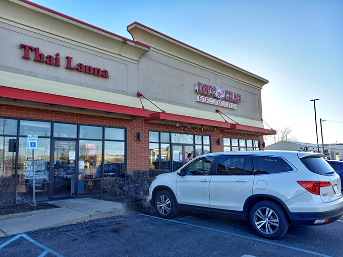 Don't let the strip mall setting fool you—this seafood oasis in Avon brings coastal flavors deep into the heartland with unapologetic enthusiasm.