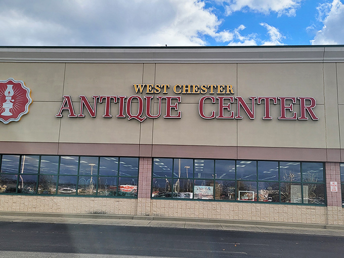The unassuming storefront belies the wonderland within—like finding Narnia behind an ordinary wardrobe door, but with more vintage lamps.