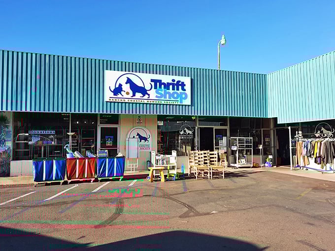 1. the massive thrift store in california that treasure hunters say takes all day to explore