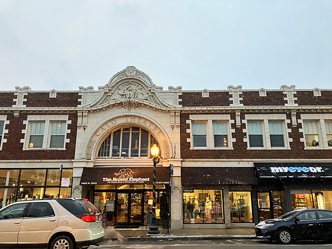 The grand façade of The Brown Elephant commands attention on Clark Street, like a temple dedicated to the gods of secondhand treasures.