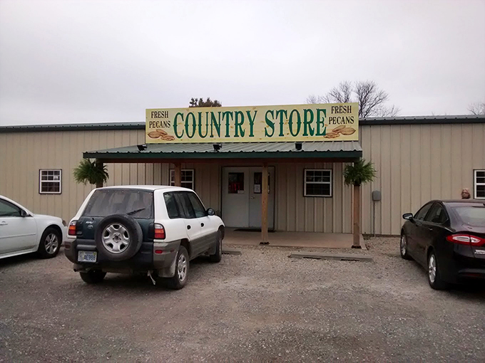 A slice of Americana greets you with that weathered wooden sign and American flag. The kind of place where "fresh pecans" isn't just advertising—it's a solemn promise.