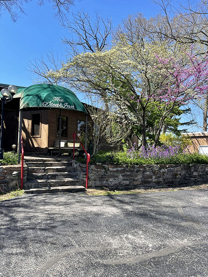 The rustic cabin exterior of The Steak Inn emerges from the Ozark forest like a carnivore's mirage, promising chargrilled treasures within.
