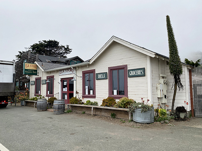 The white clapboard exterior of Elk Store stands like a culinary lighthouse on the Mendocino coast, complete with rustic wine barrels that practically whisper "good things inside."