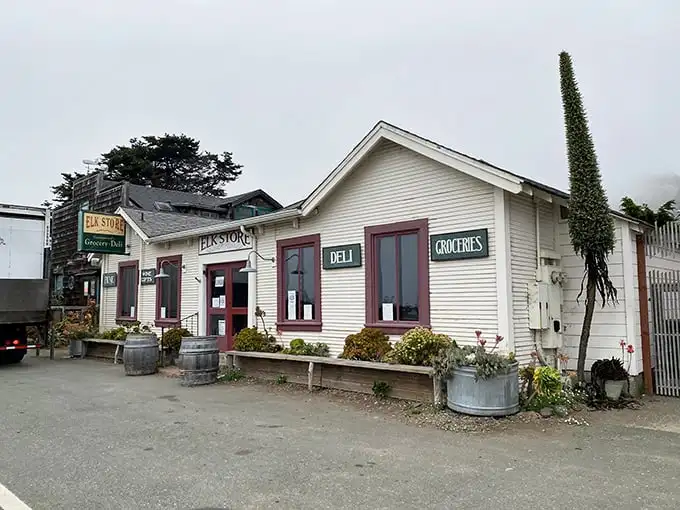 The white clapboard exterior of Elk Store stands like a culinary lighthouse on the Mendocino coast, complete with rustic wine barrels that practically whisper "good things inside."