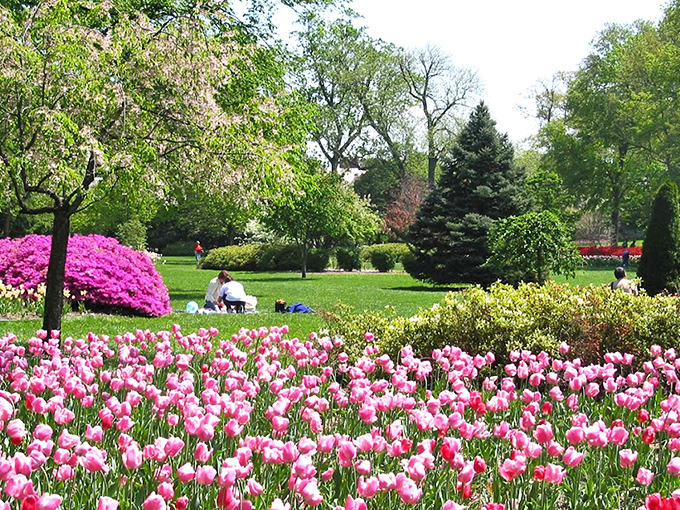 Nature's grand theater unfolds at Sherwood Gardens, where visitors can wander through acres of meticulously designed floral displays that change with each season.
