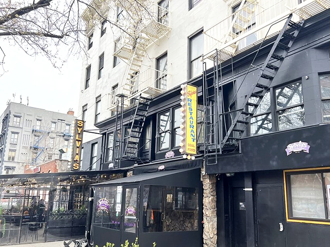 The classic New York storefront beckons with its iconic yellow sign – Sylvia's standing proud on Malcolm X Boulevard like a culinary lighthouse in Harlem.