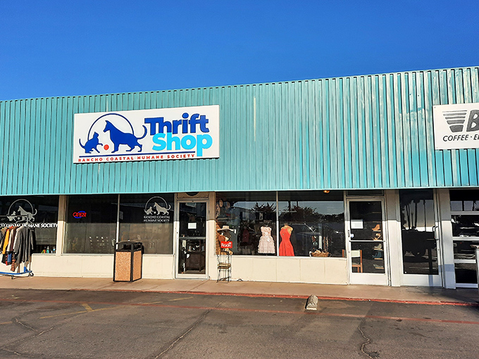 1. this massive thrift store in california is a wonderland of vintage treasures and collectibles