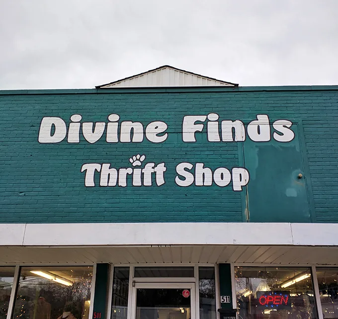 The teal storefront of Divine Finds stands like a portal to another era, inviting treasure hunters to step through and begin their journey.