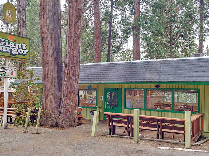 Nestled among towering pines, Giant Burger's charming A-frame structure stands as a beacon of hope for the hungry traveler. That wooden bear knows what's up.