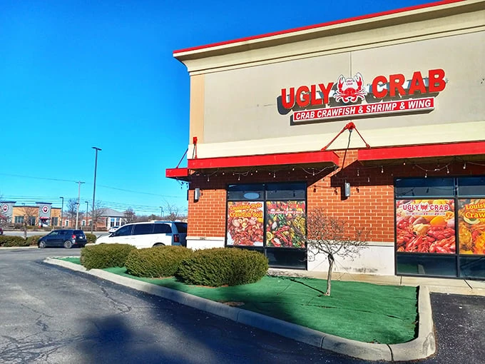 Don't let the strip mall setting fool you—this seafood oasis in Avon brings coastal flavors deep into the heartland with unapologetic enthusiasm.