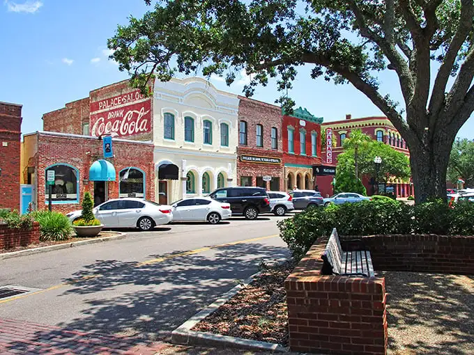 Centre Street's historic charm feels like stumbling onto a movie set where time decided to take a permanent vacation. Those brick buildings have stories to tell.