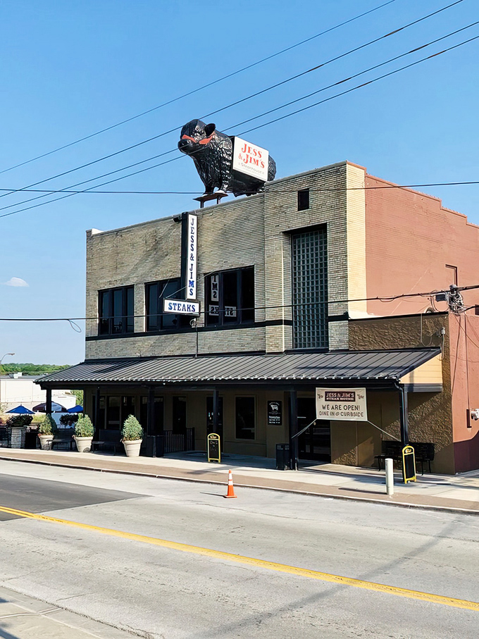 The iconic fiberglass bull proudly announces your arrival at meat paradise—a no-frills landmark that's been serving Kansas City's finest steaks since 1938.