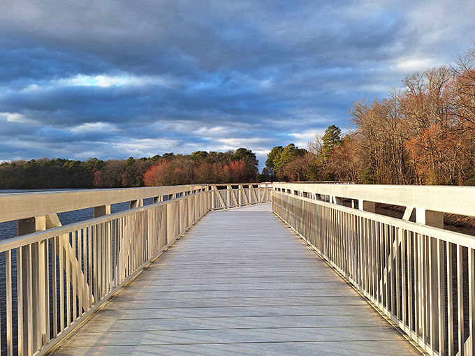 The wooden boardwalk stretches toward autumn's canvas, where nature shows off like it's auditioning for a calendar shoot.
